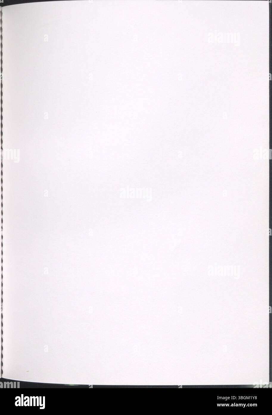 This report highlights the Southern Gateway's neighborhoods, including ...