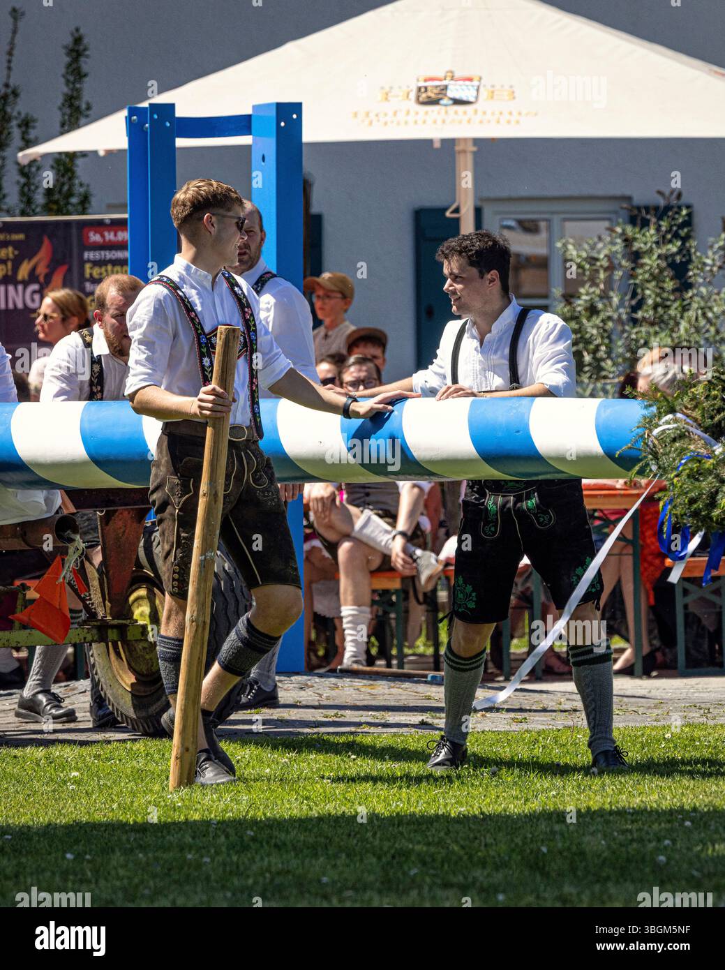 Raising the maypole. Raisting, Bavaria, Germany Stock Photo - Alamy