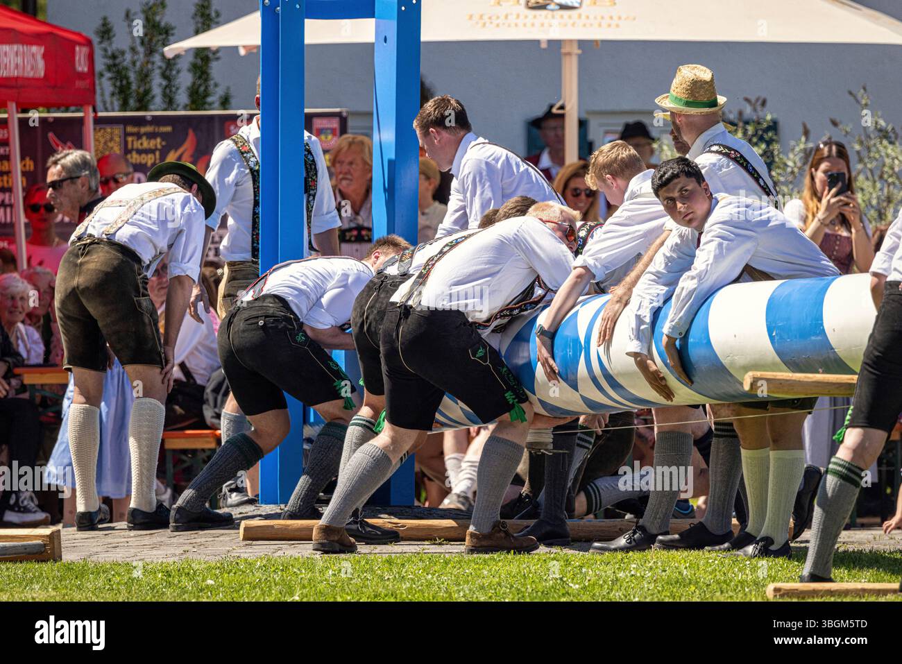 Raising the maypole. Raisting, Bavaria, Germany Stock Photo - Alamy