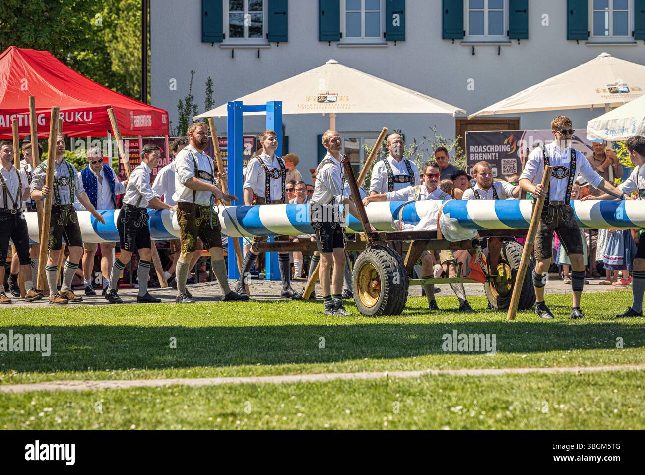 Raising the maypole. Raisting, Bavaria, Germany Stock Photo - Alamy