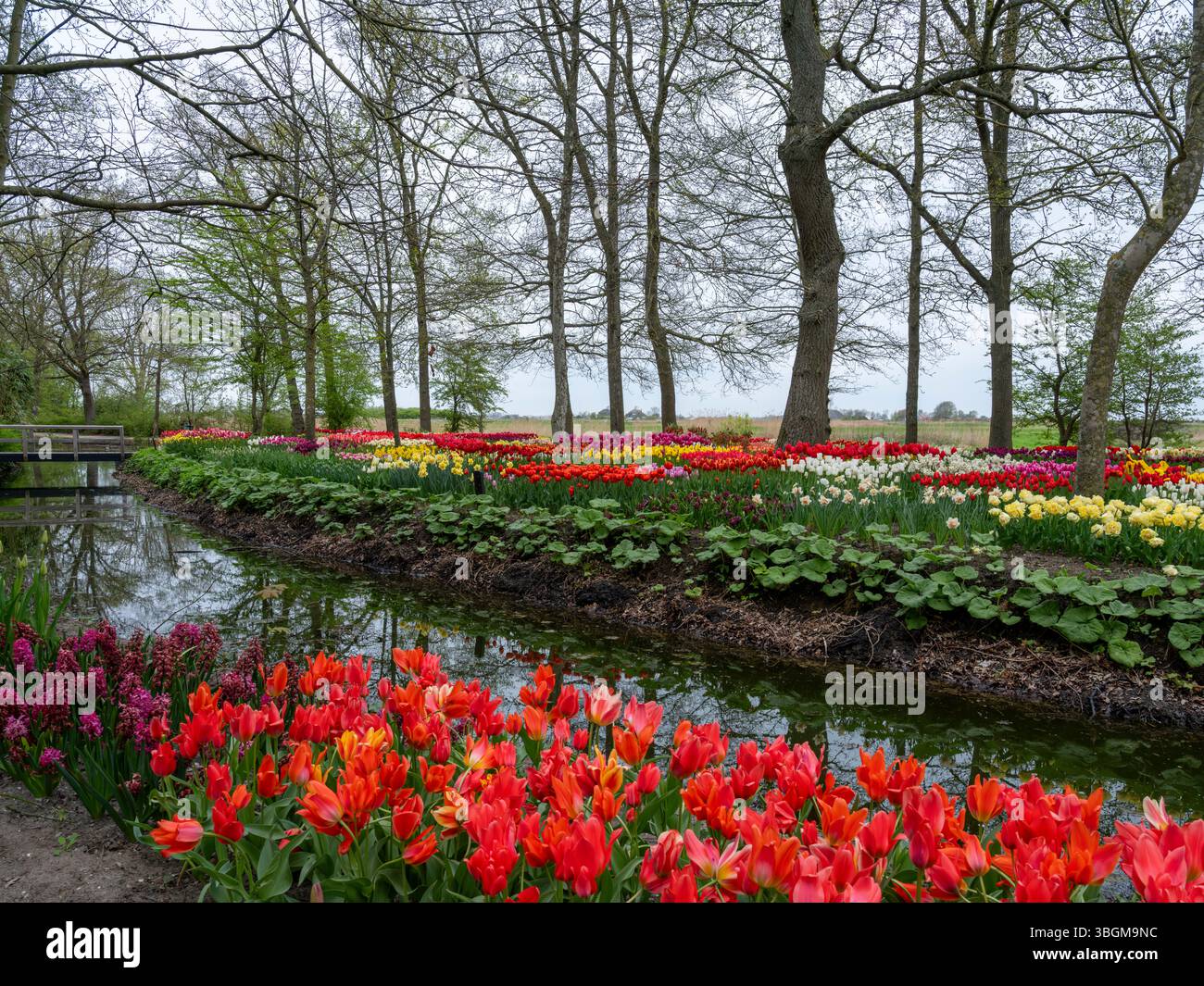 Tulips and other early bloomers in the park of Anna Paulowna in North ...