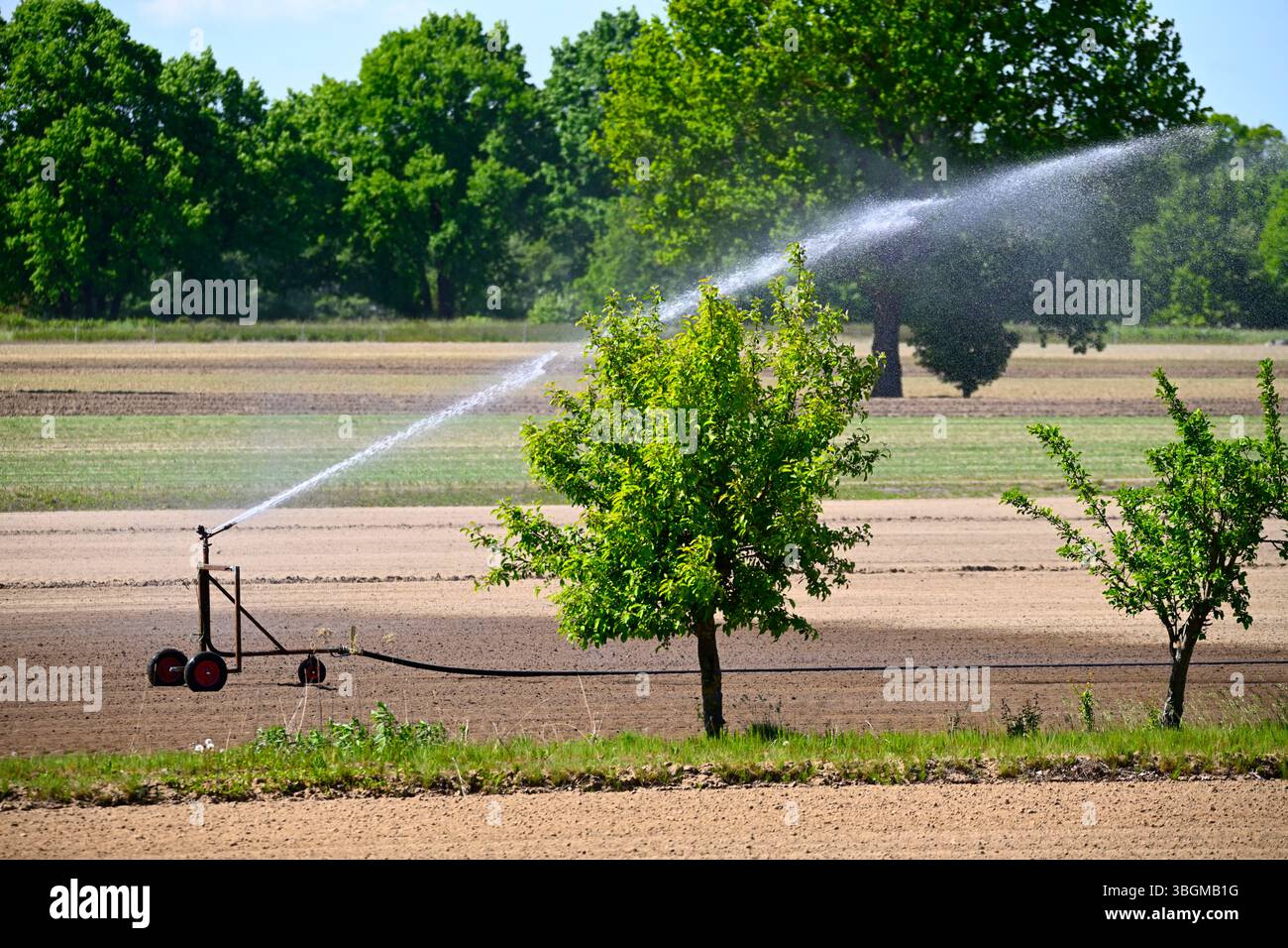 Field irrigation due to drought in Kirchwerder, Hamburg, Germany Stock ...
