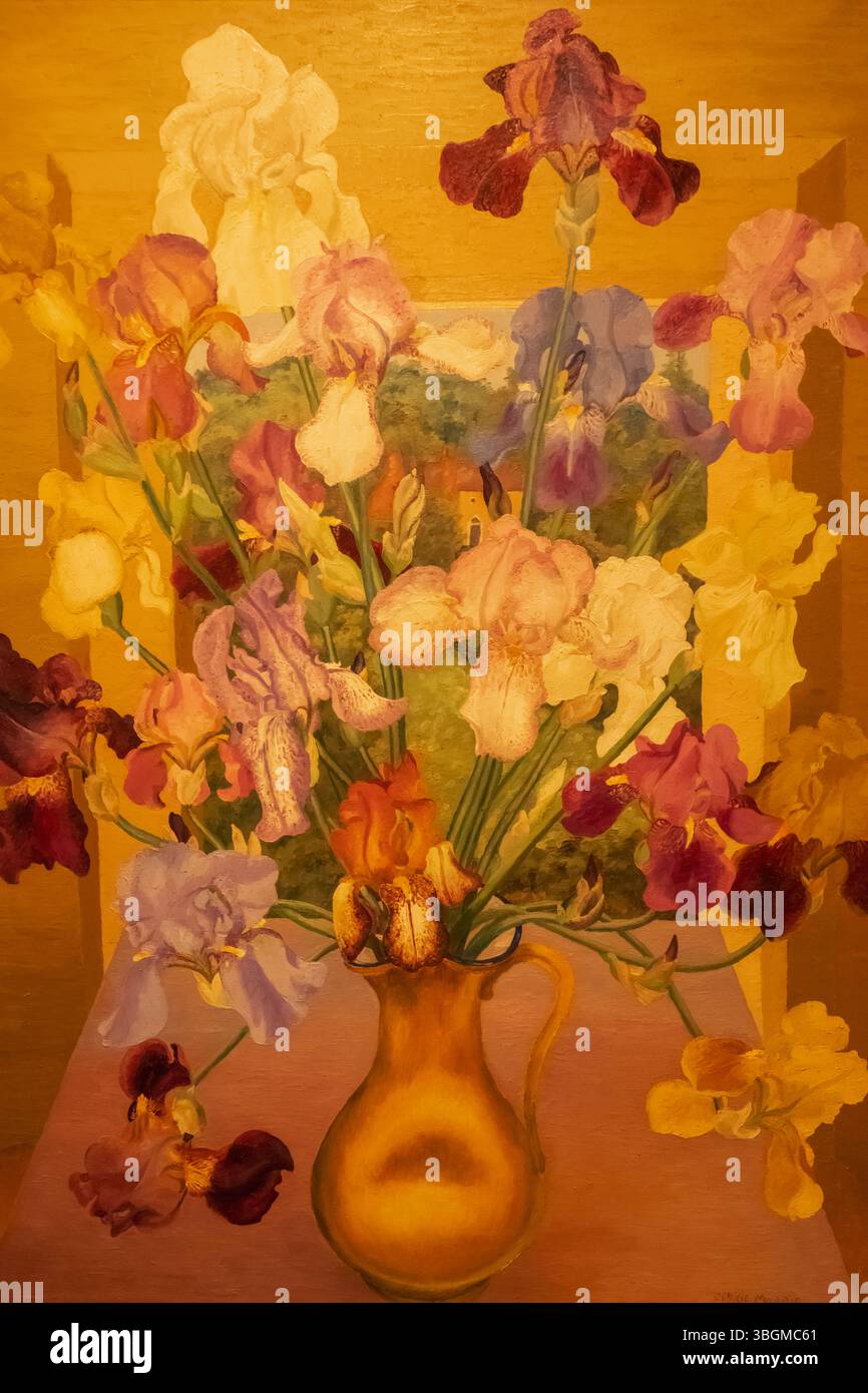 Iris seedlings hi-res stock photography and images - Alamy