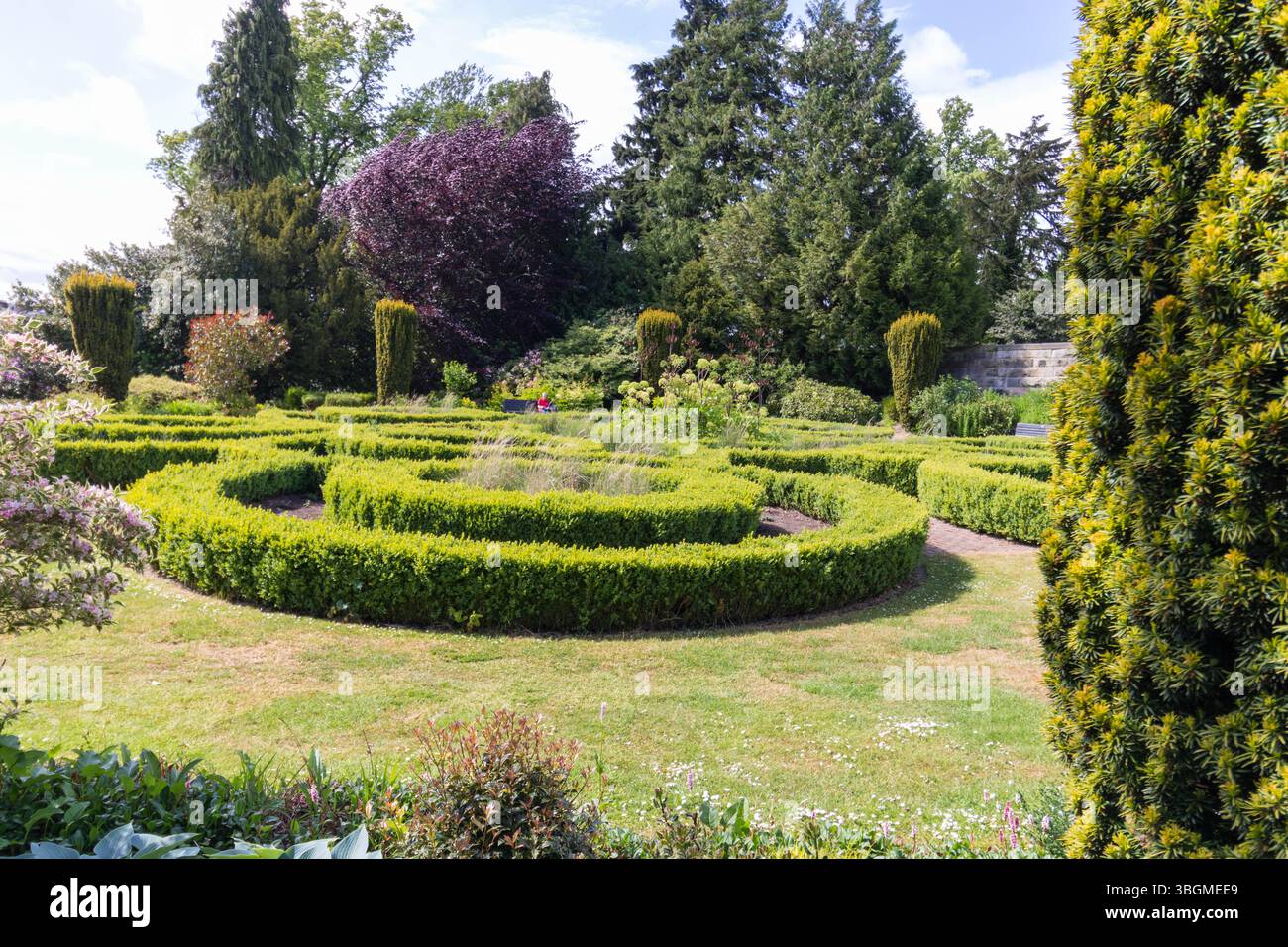Maze hedge pattern labyrinth hi-res stock photography and images - Alamy