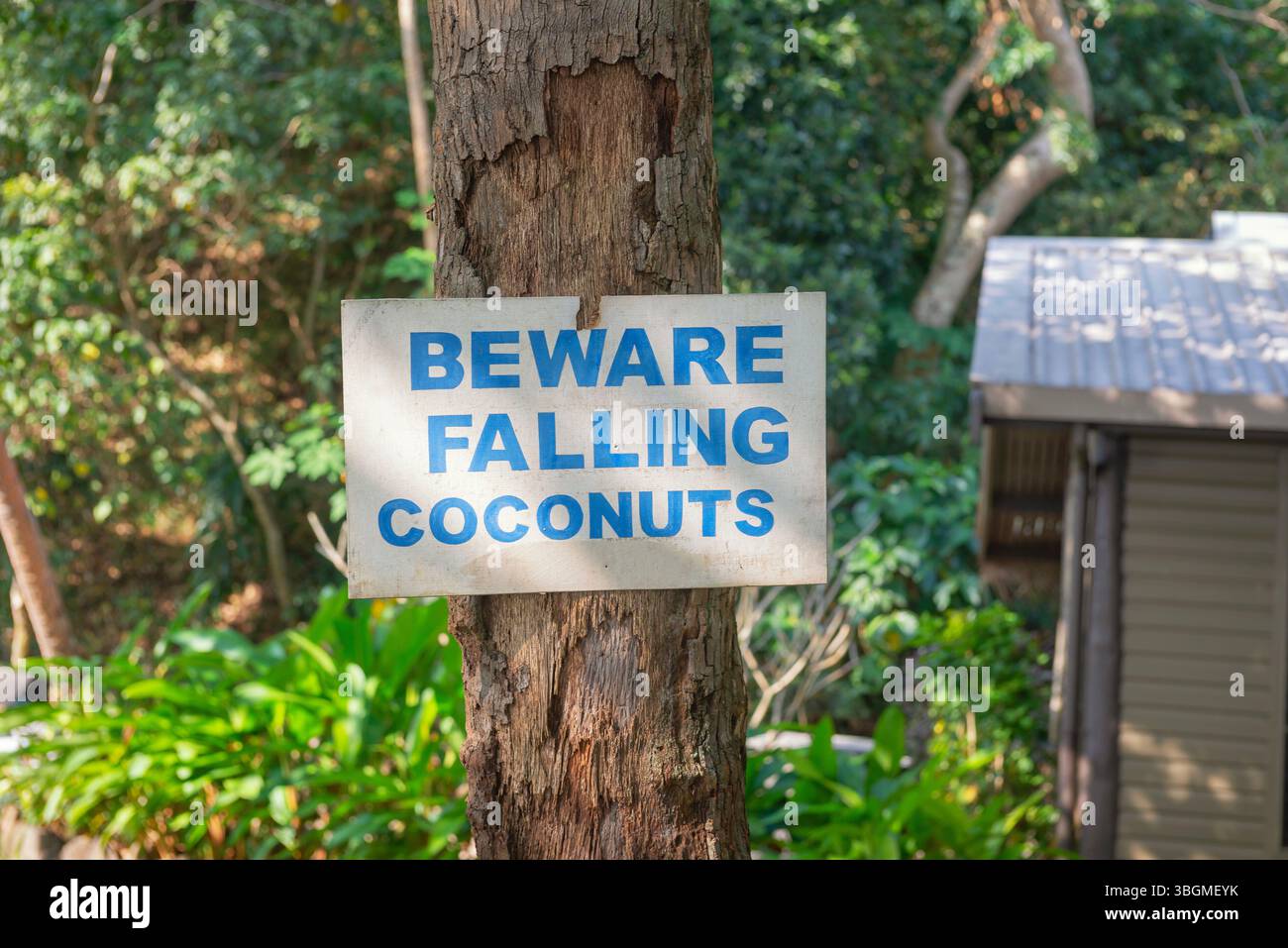 Falling coconuts sign hi-res stock photography and images - Alamy
