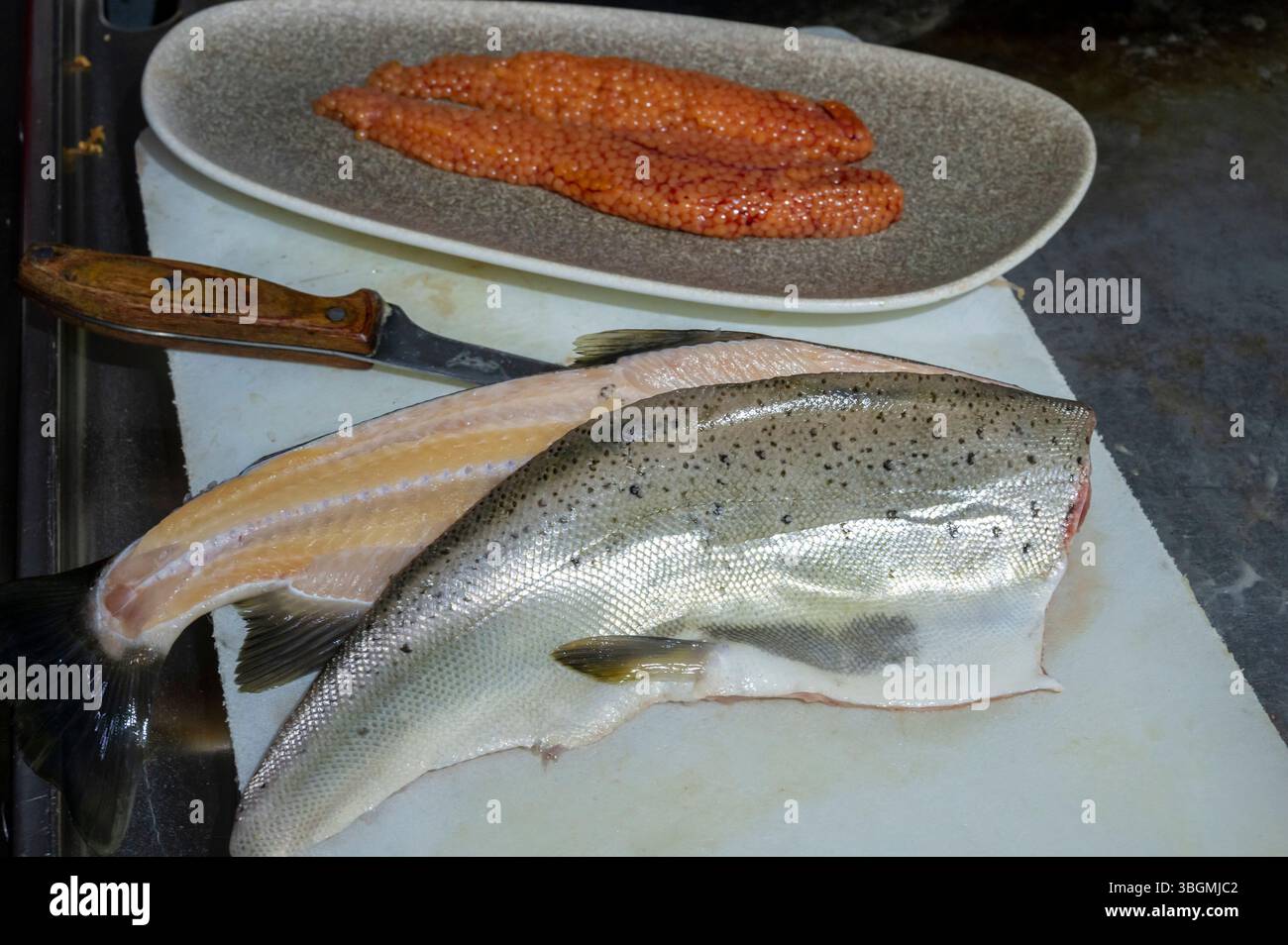 Albania, Balkan Peninsula, Southeast Europe, Republic of Albania ...