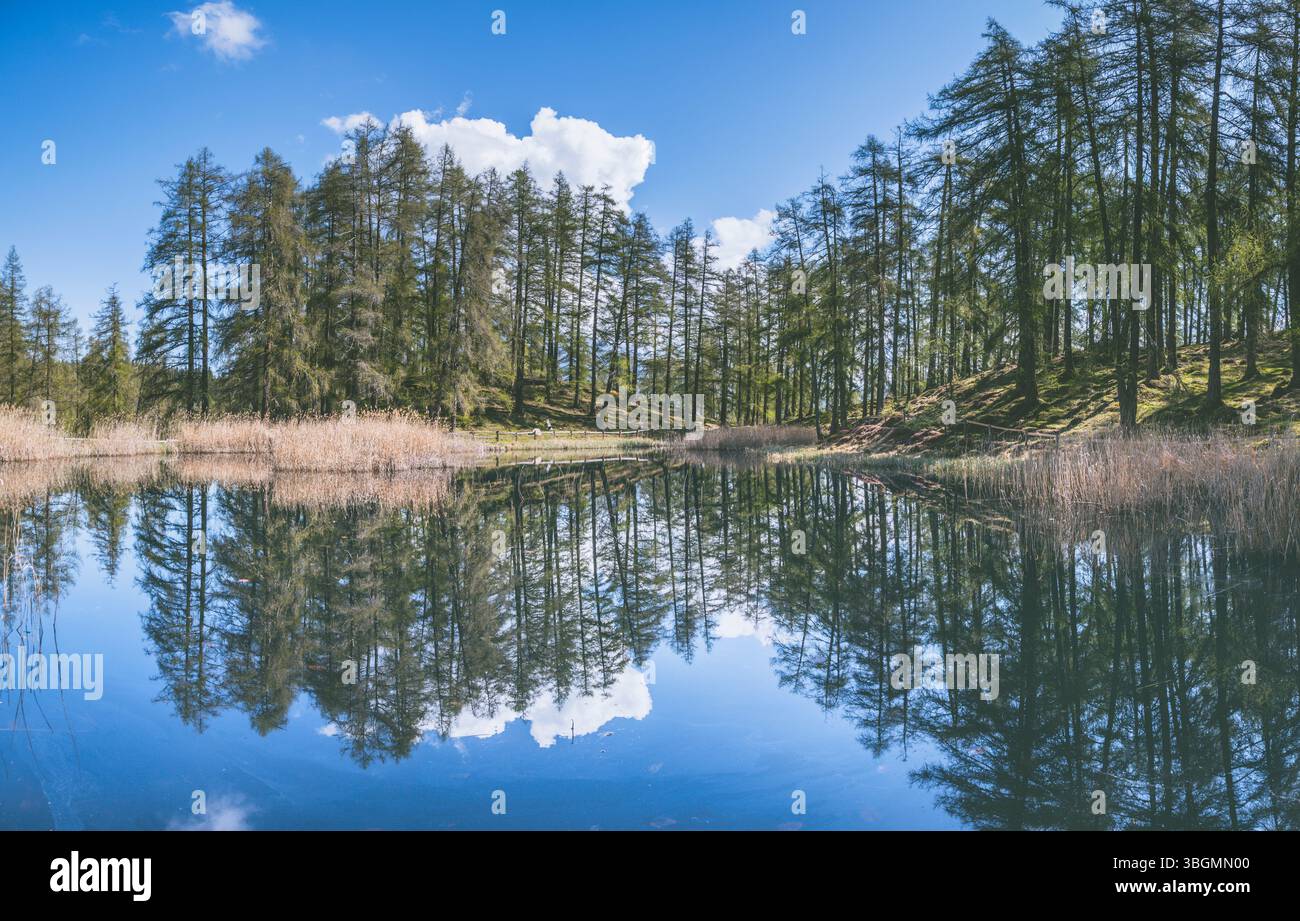 Horn nature hi-res stock photography and images - Alamy