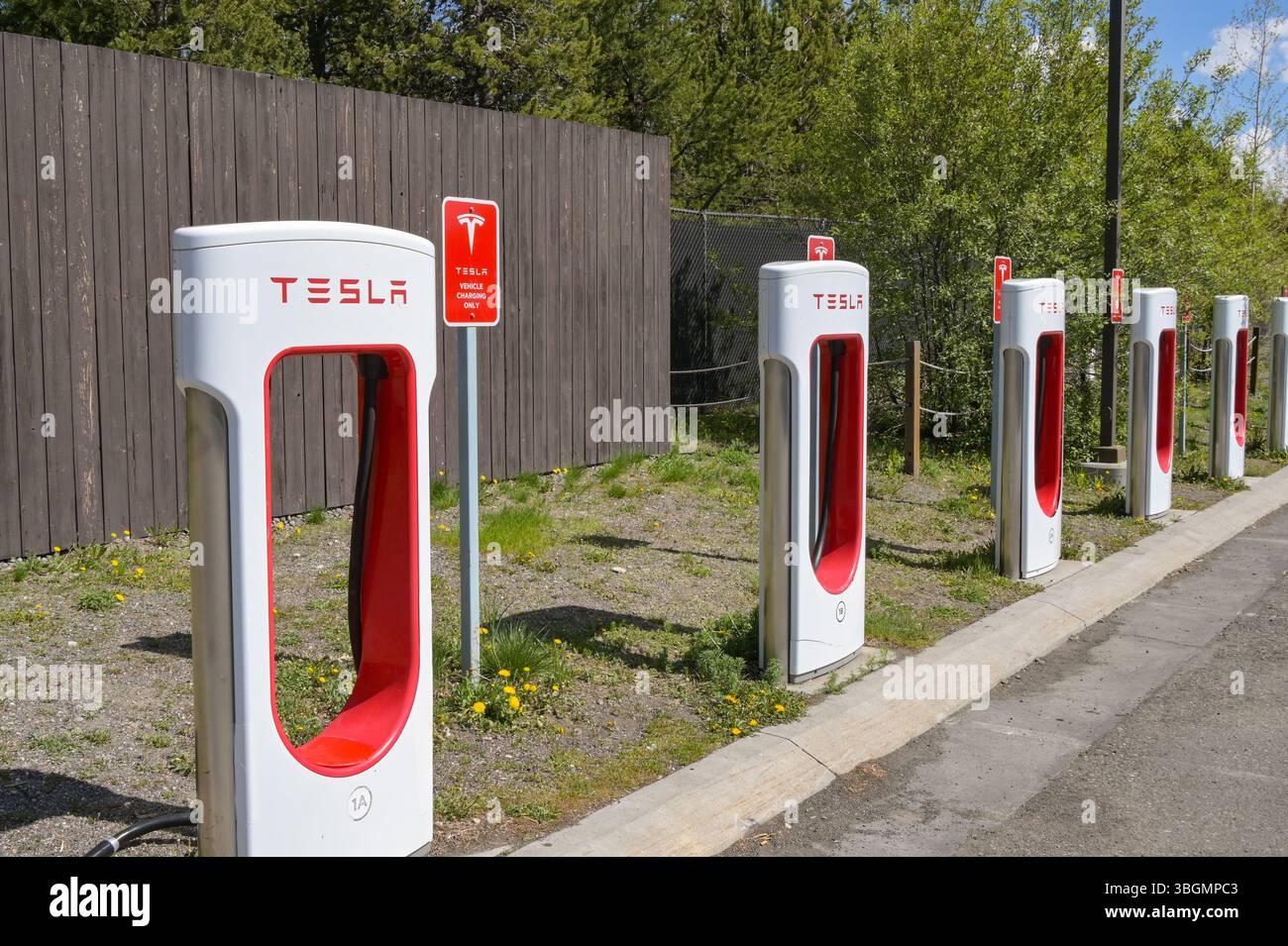 West Yellowstone, Montana, USA - 30 May 2025: Row of rapid charging ...