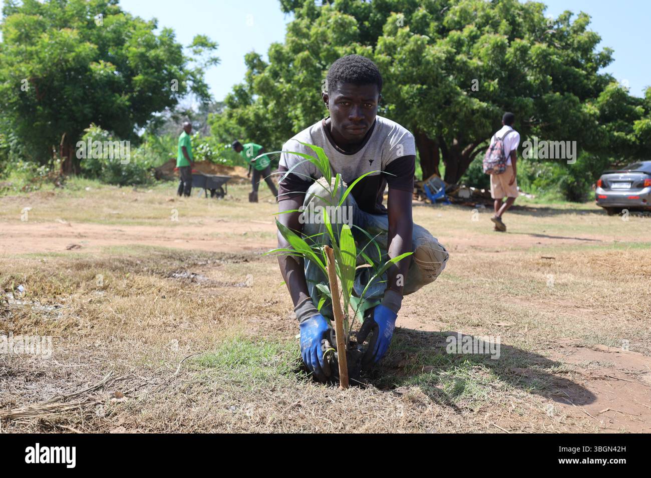 Accra, Ghana. 5th June, 2025. A man plants a seedling at a school in ...
