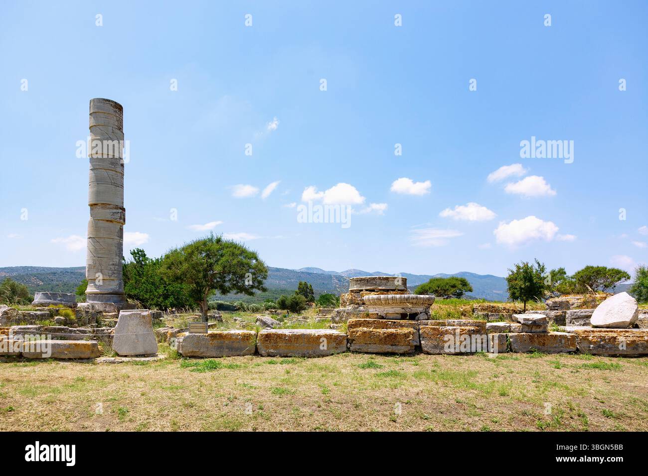Heraion of Samos, large temple with column, archaeological site of the ...