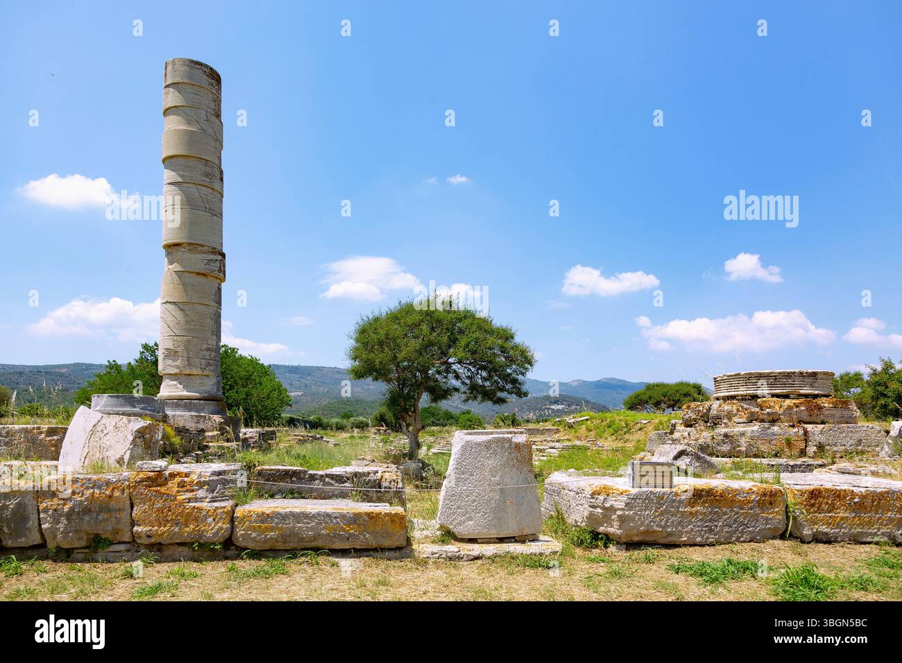 Heraion of Samos, large temple with column, archaeological site of the ...