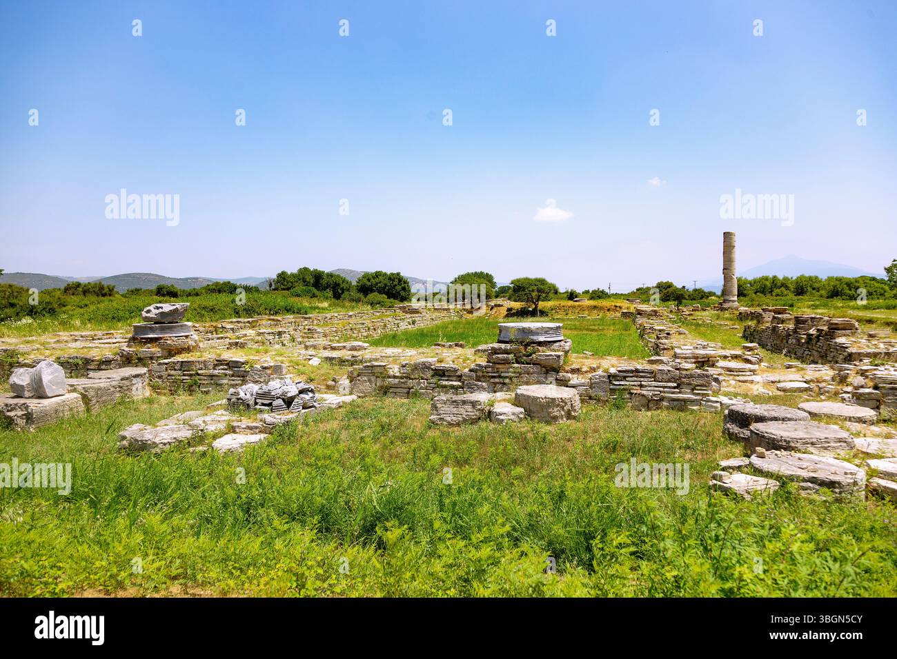 Heraion of Samos, large temple with column, archaeological site of the ...