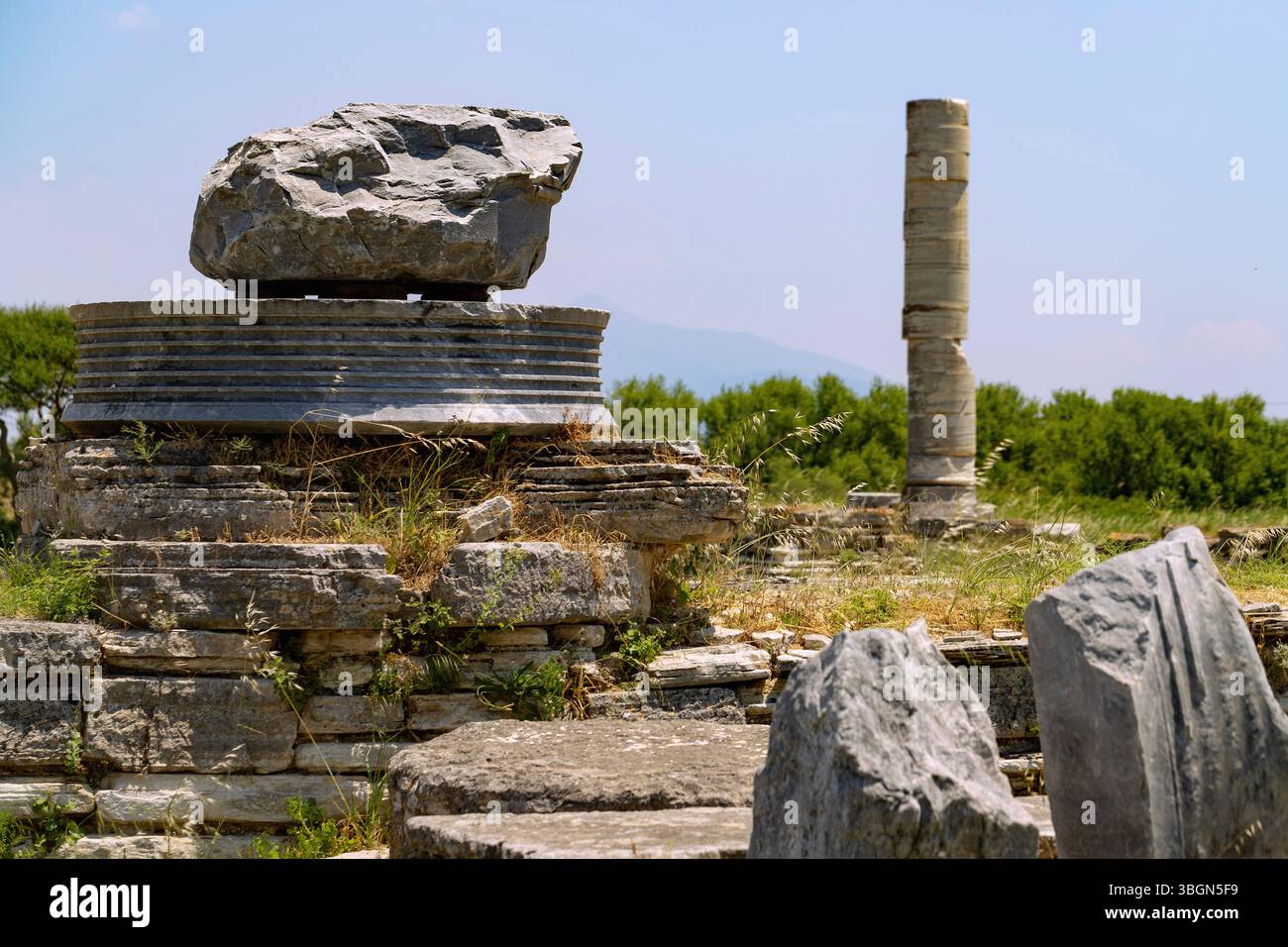 Heraion of Samos, large temple with column, archaeological site of the ...