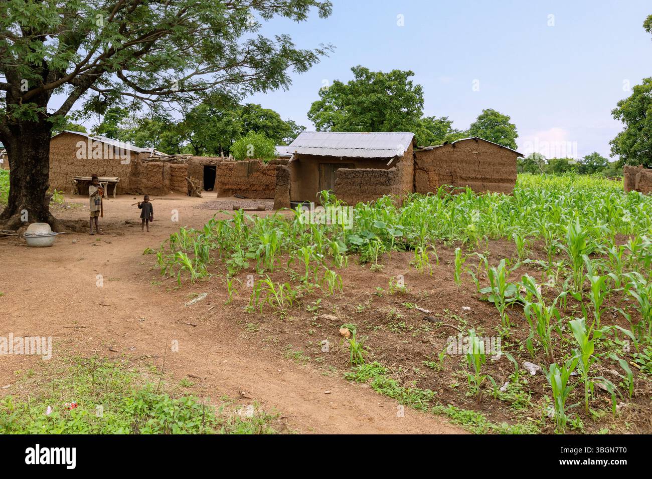Aberewanko, traditional family kraal of the Lobi in adobe architecture ...