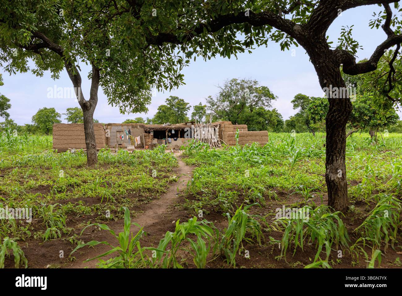 Aberewanko, traditional family kraal of the Lobi in adobe architecture ...