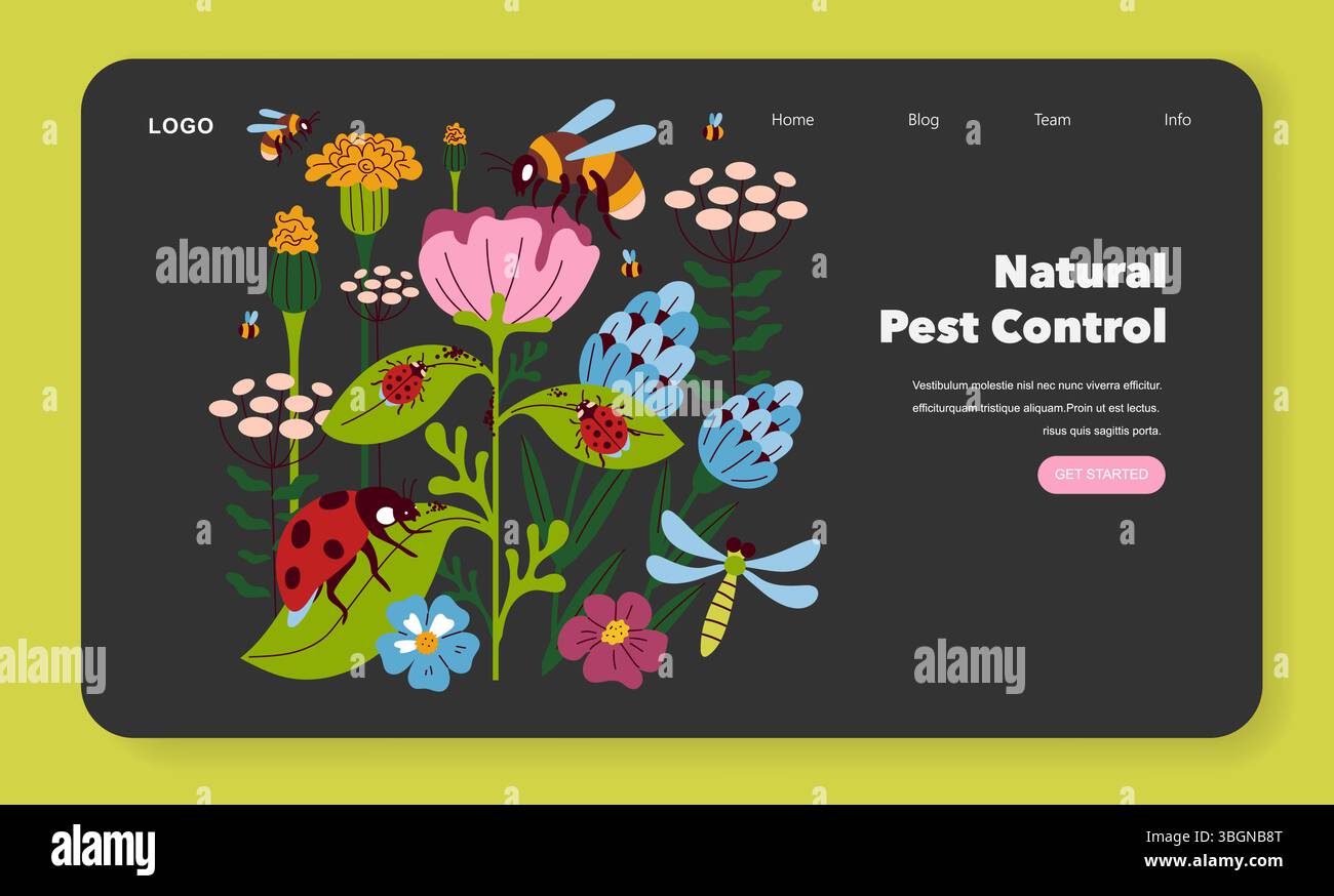 Insects and pollinators Stock Vector Images - Alamy