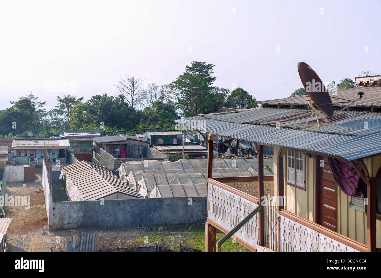 Houses and drying plant for cocoa beans in the plantation village of ...