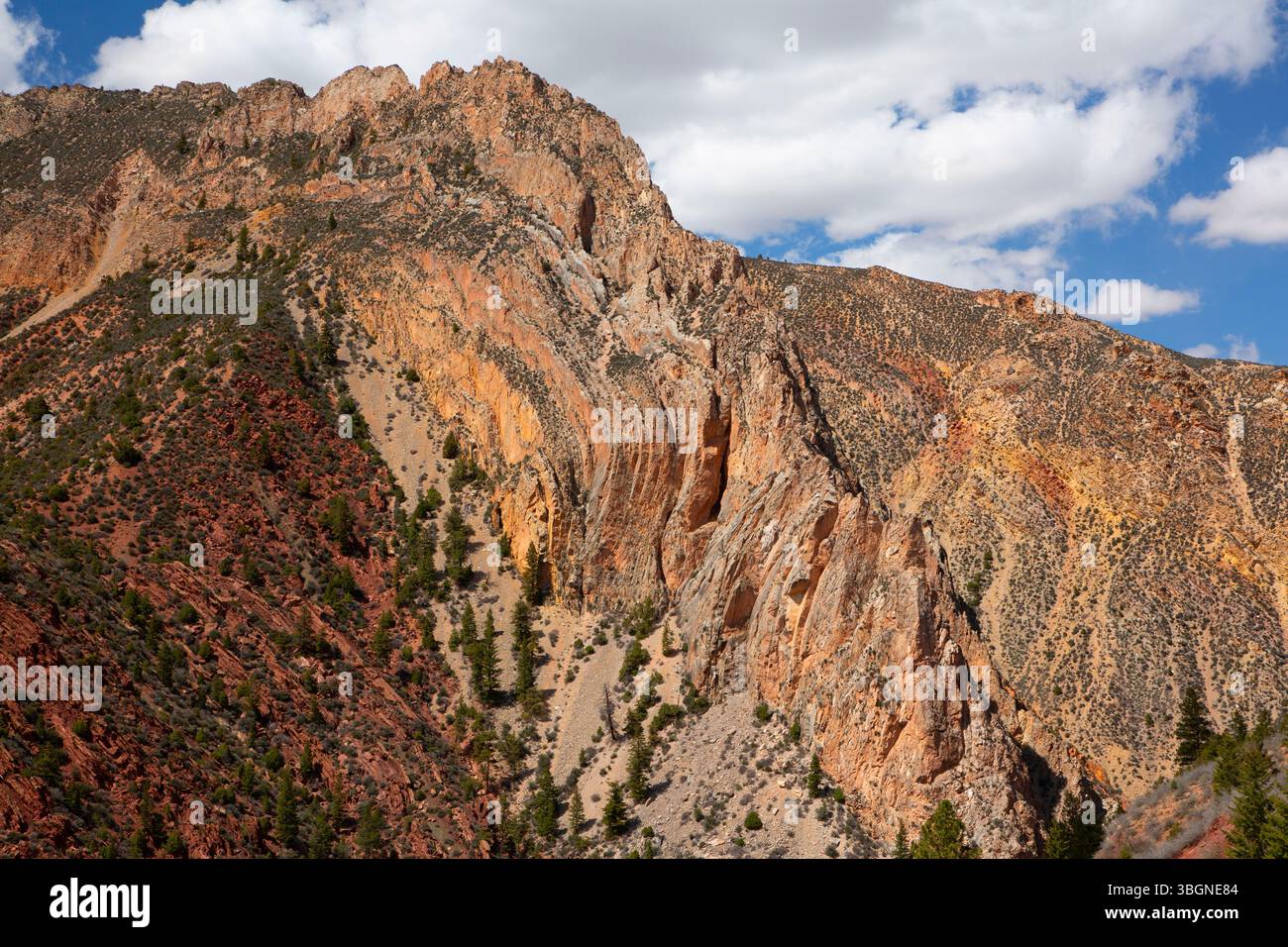 Uinta Fault zone, Sheep Creek Canyon Geological Area, Ashley National ...