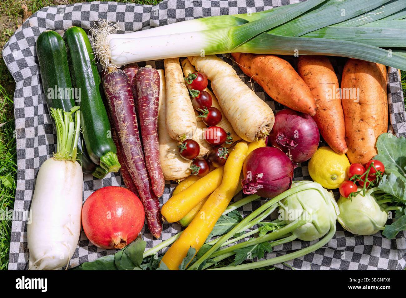 Vegetable and fruit tray with radish, zucchini, leek, pomegranate ...