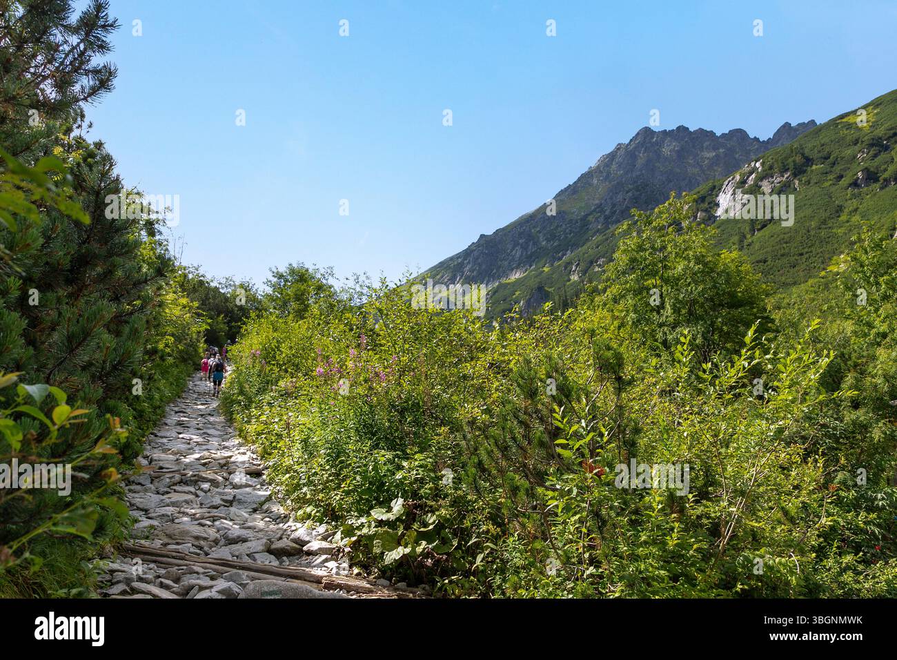 Hiking trail to the Valley of the Five Polish Ponds (Dolina Pieciu ...