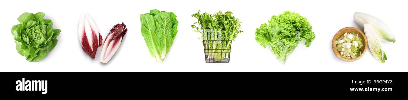 Many different types of lettuce on white background Stock Photo - Alamy