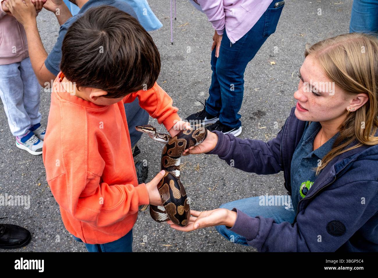 Child handling snake hi-res stock photography and images - Alamy