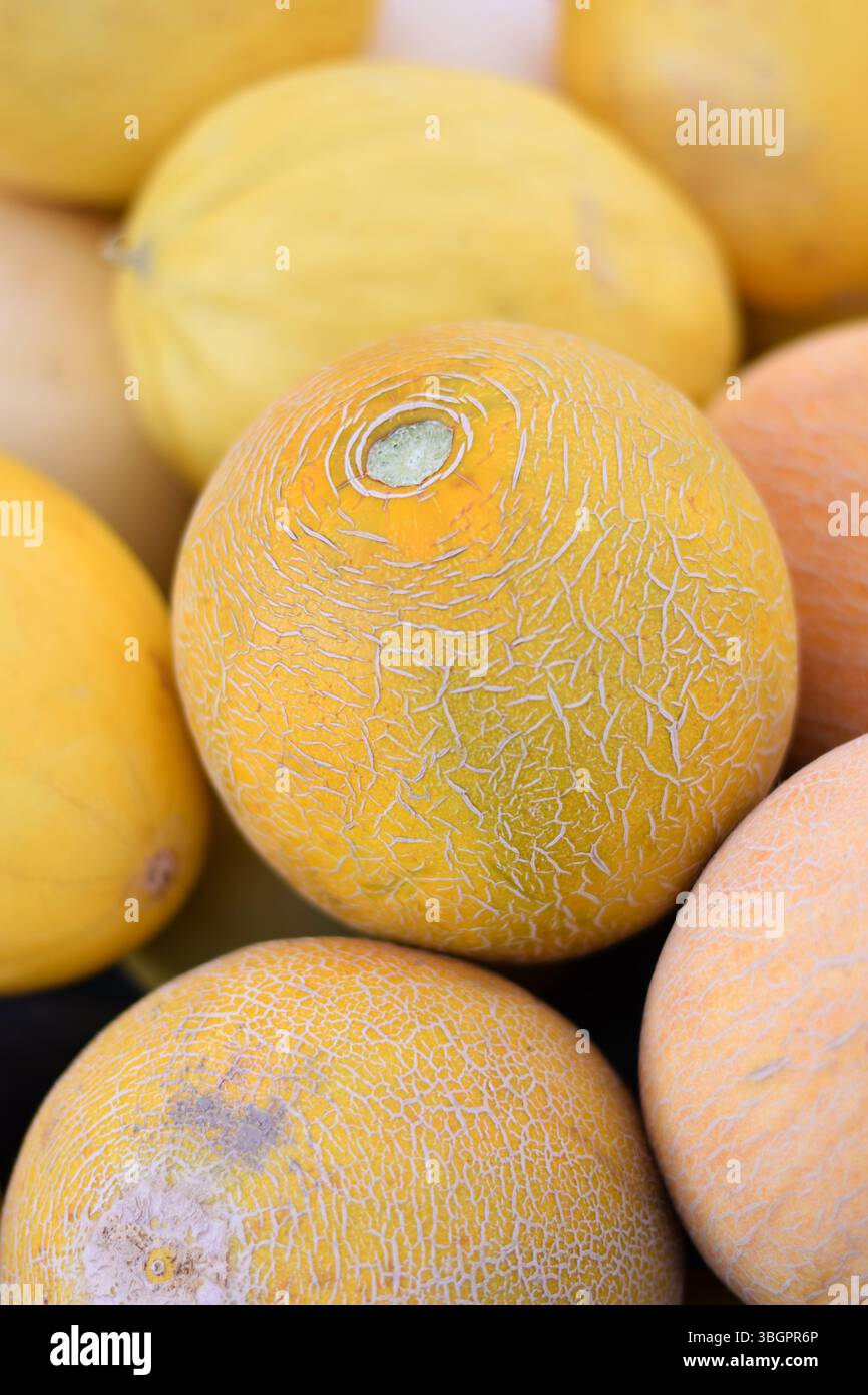 Yellow melons display background Stock Photo - Alamy