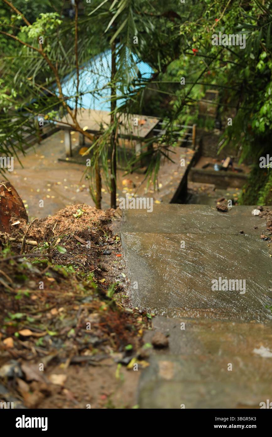 Rain season in tropical bali hi-res stock photography and images - Alamy