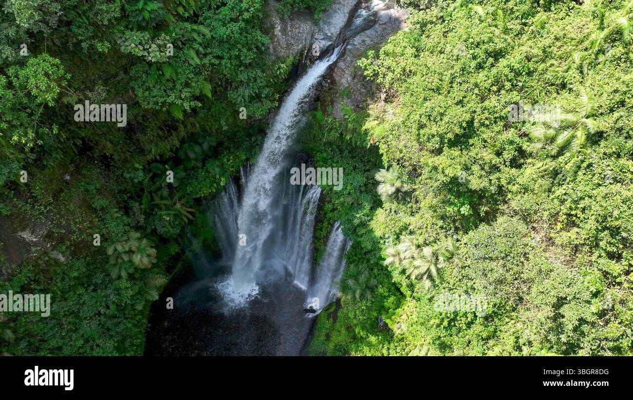 Aerial view of Tiu Kelep waterfall plunging through dense Lombok jungle. The lush greenery ...