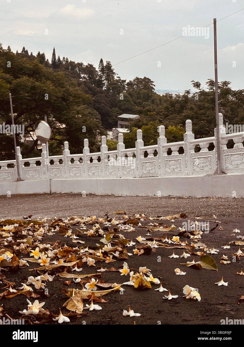 Cycle poetry hi-res stock photography and images - Alamy