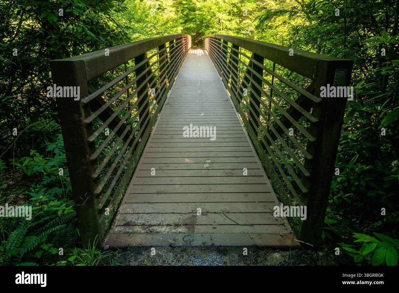 Sturdy Bridge Crosses Gap In New River Gorge National Park Stock Photo ...