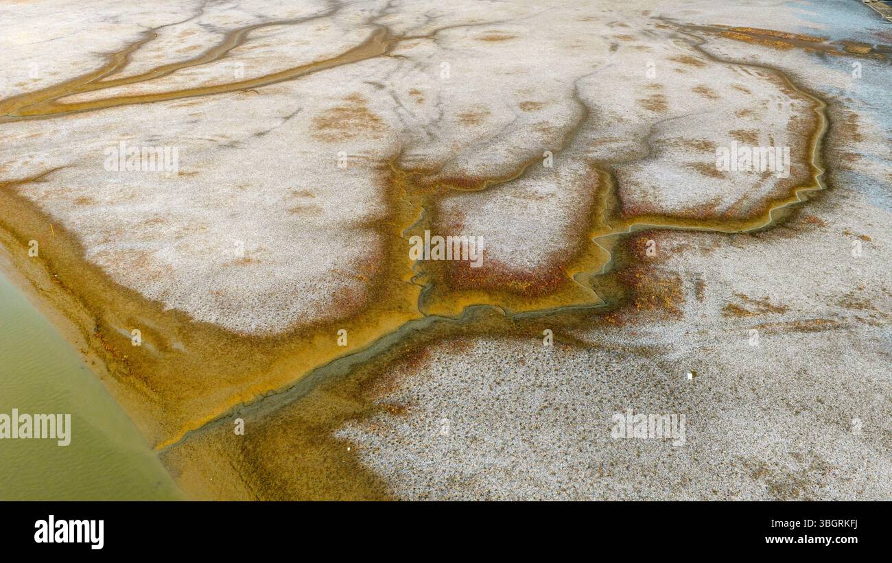 QINGDAO, CHINA - JUNE 5, 2025 - Tidal Trees on the Red Sea Beach in ...