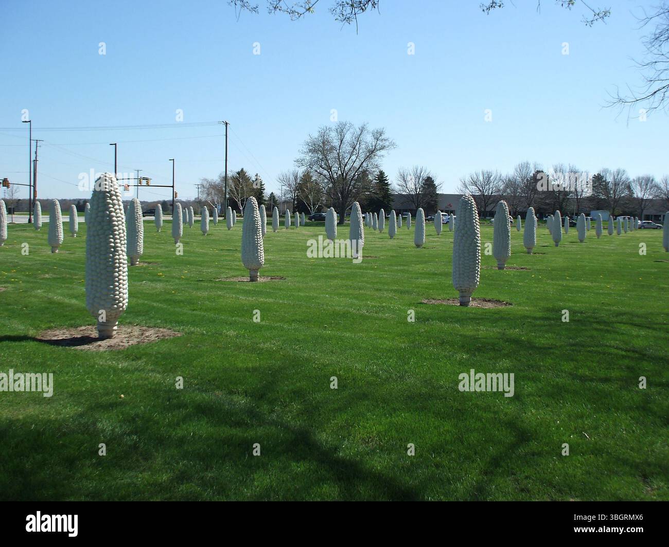 The *Field of Corn* sculpture, designed by Malcolm Cochran and ...