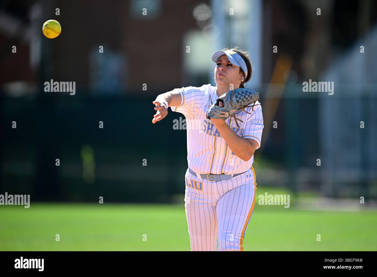Long Island infielder Hannah Burnett (21) during an NCAA college ...