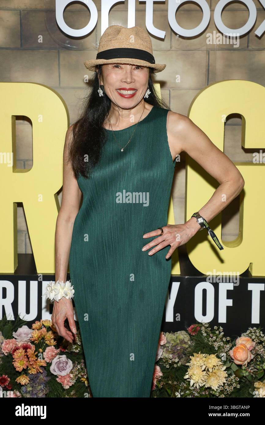 Actor Jodi Long attends the premiere afterparty for BritBox's ...