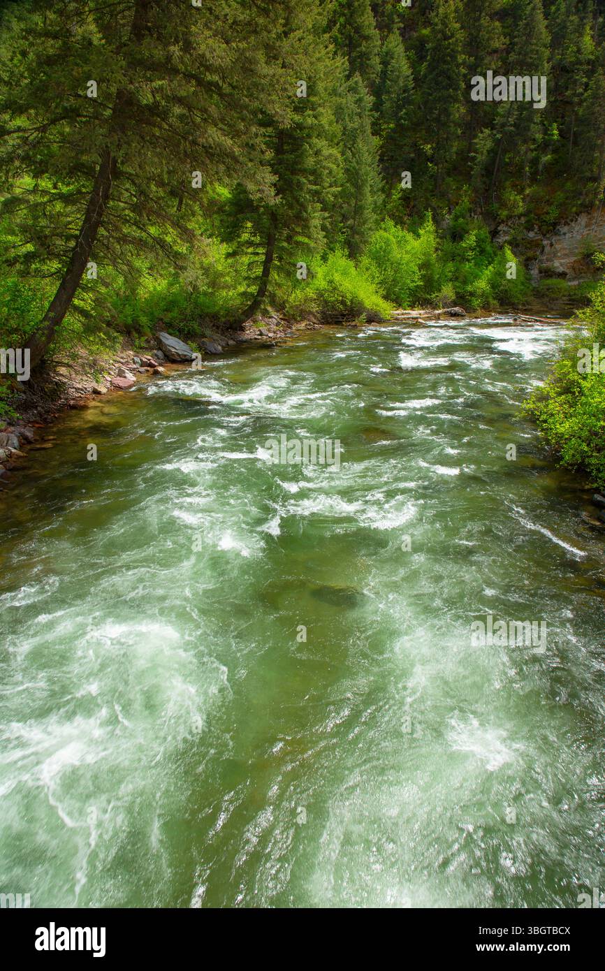 Fish Creek, Fish Creek State Park, Montana Stock Photo - Alamy