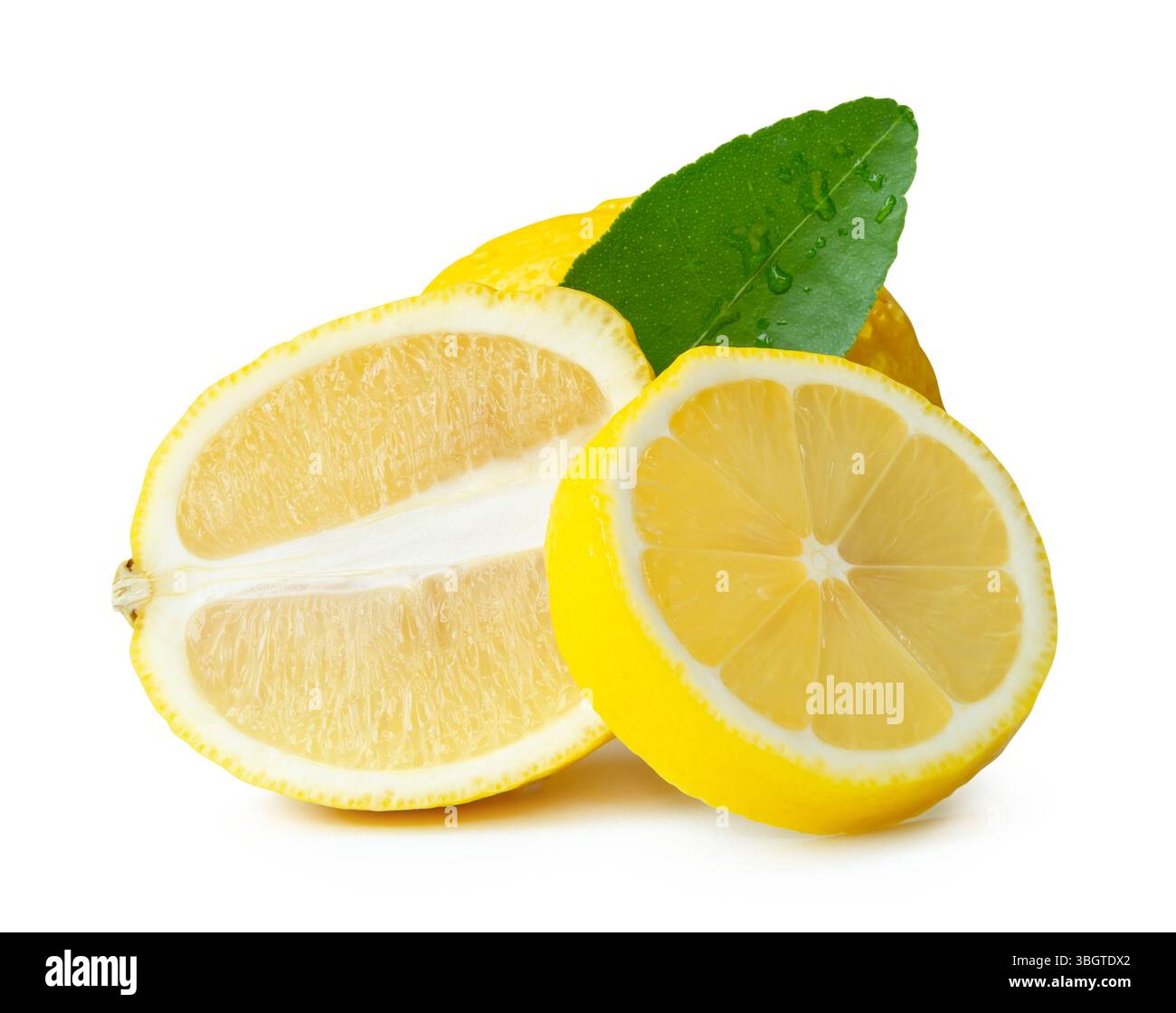 Front view of ripe yellow lemon fruit with slices in circle and oval ...