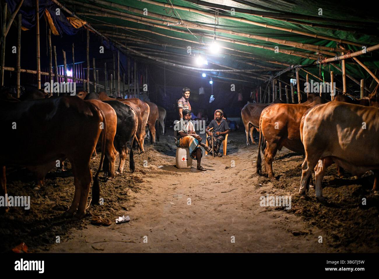 Vendors at a livestock market wait for customers ahead of the Muslim ...