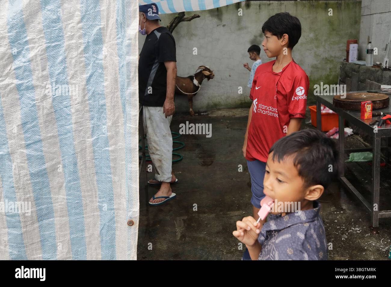 Children watch the slaughtering of goats outside a tent during a ...
