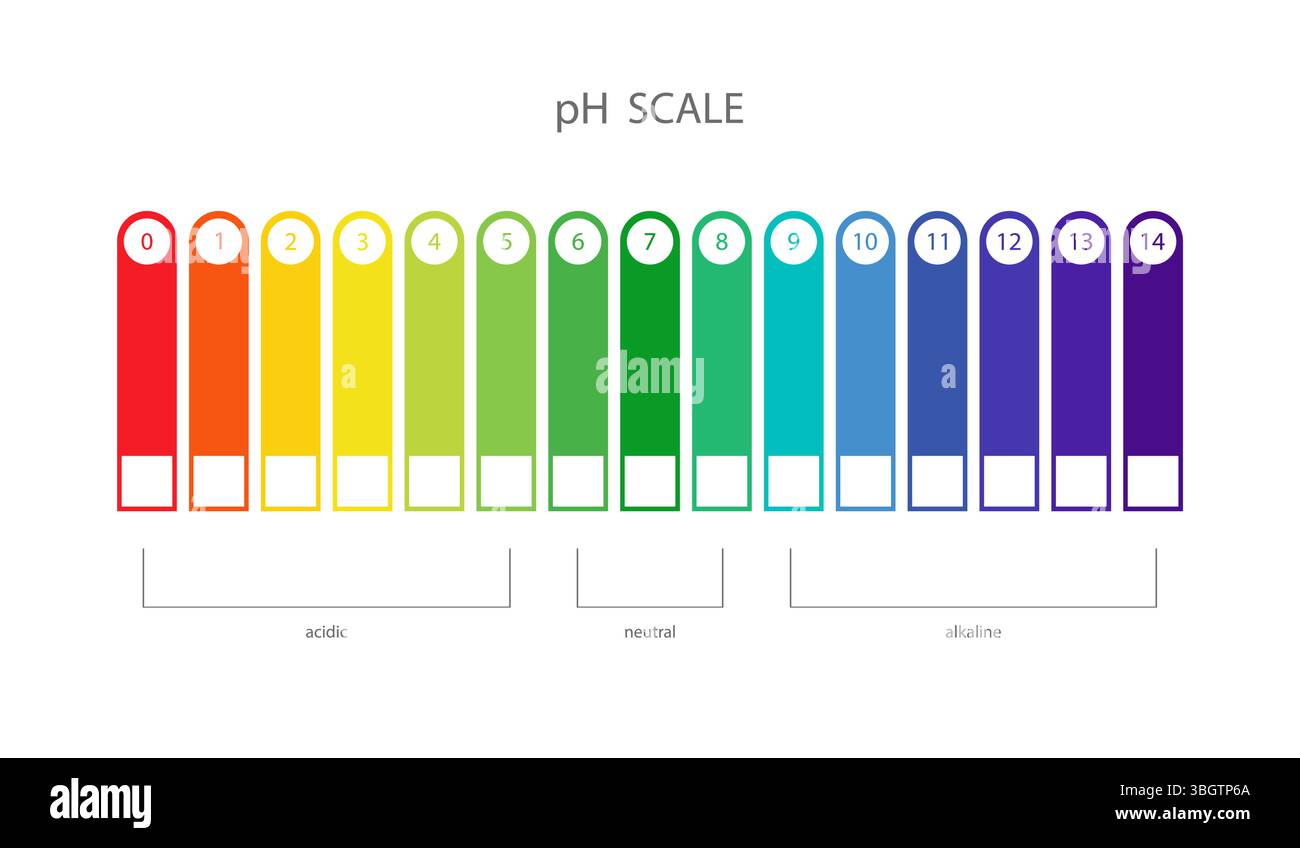 PH Scale. Acidic and alkaline measure. Scale indicator for litmus paper ...