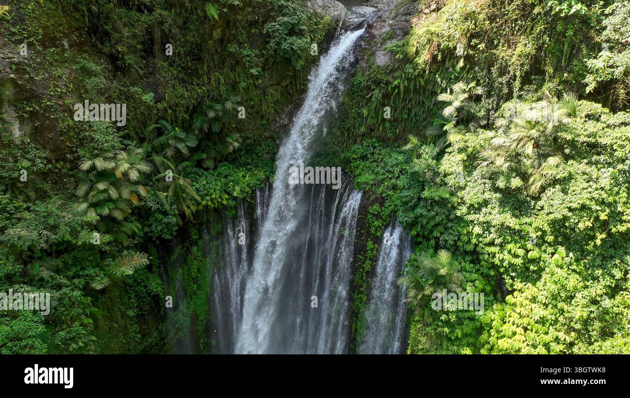 A breathtaking aerial view of Tiu Kelep waterfall surrounded by lush tropical greenery in Lombok ...