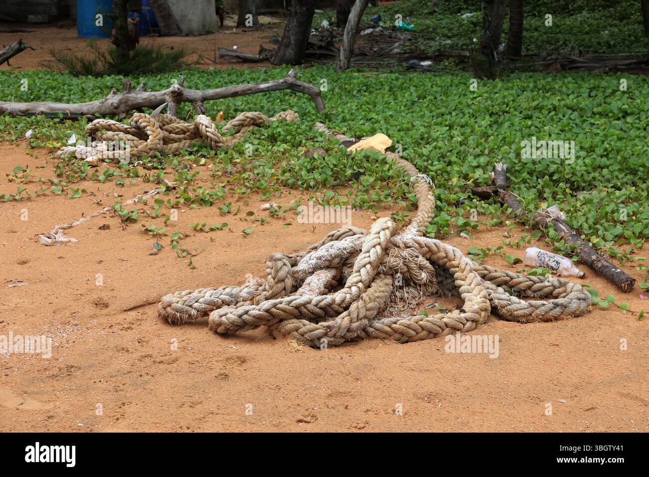 polythene, plastic, marine, pollution, waste, material, sunken, cargo ...