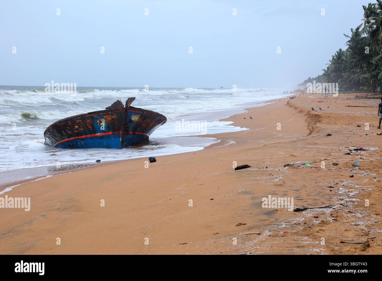 polythene, plastic, marine, pollution, waste, material, sunken, cargo ...