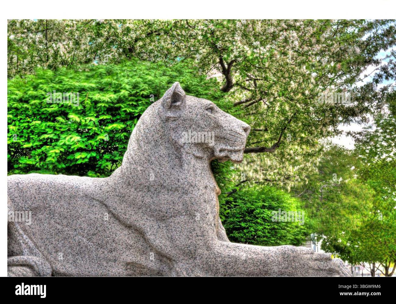 The 2019 Use of Force Analysis for the Columbus Division of Police ...