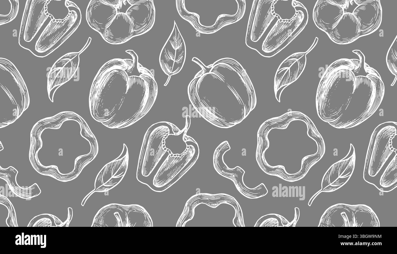 Hand Drawn Bell Pepper Horizontal Pattern Stock Vector Image & Art - Alamy