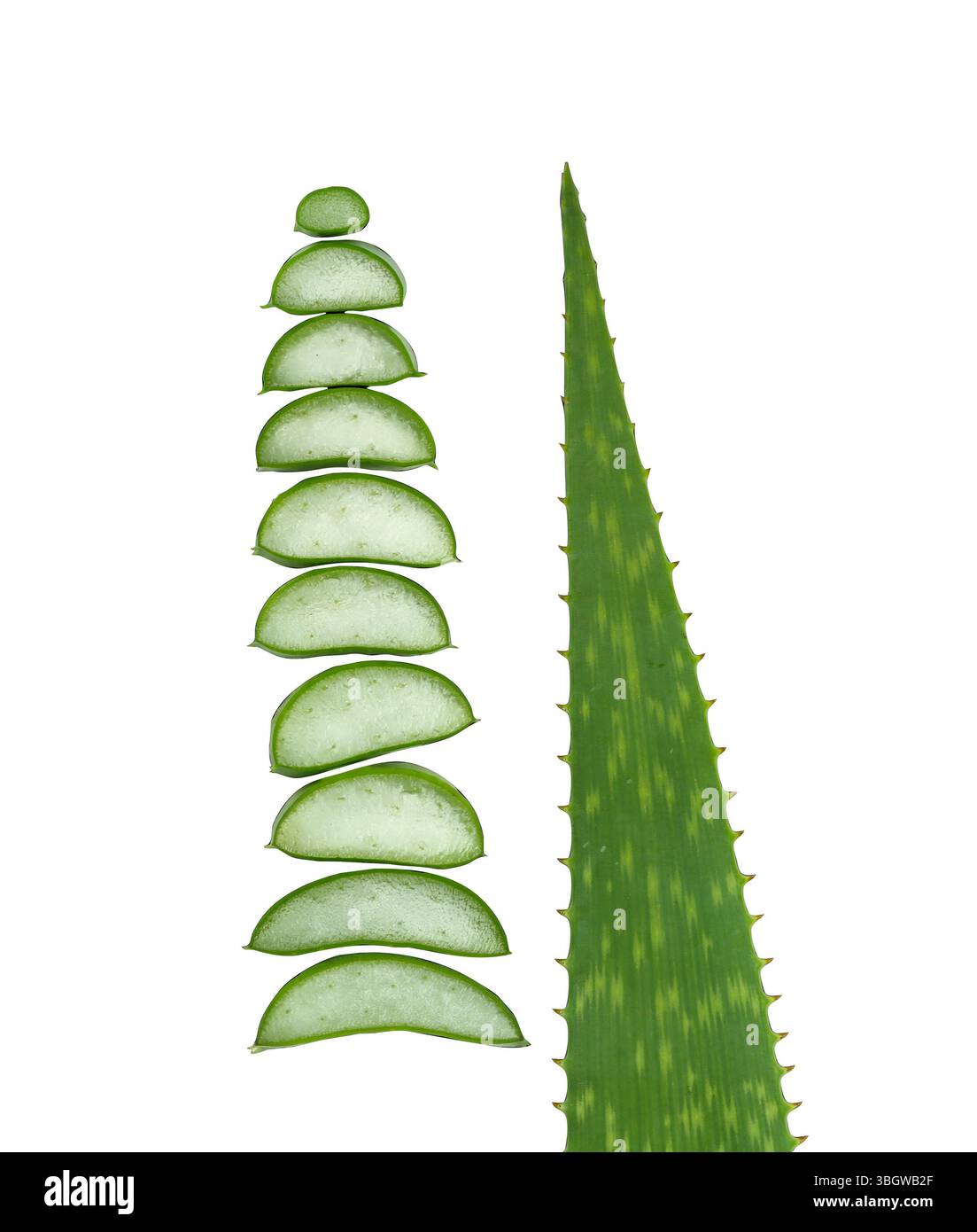 Beauty herb plant organic Cut Out Stock Images & Pictures - Alamy