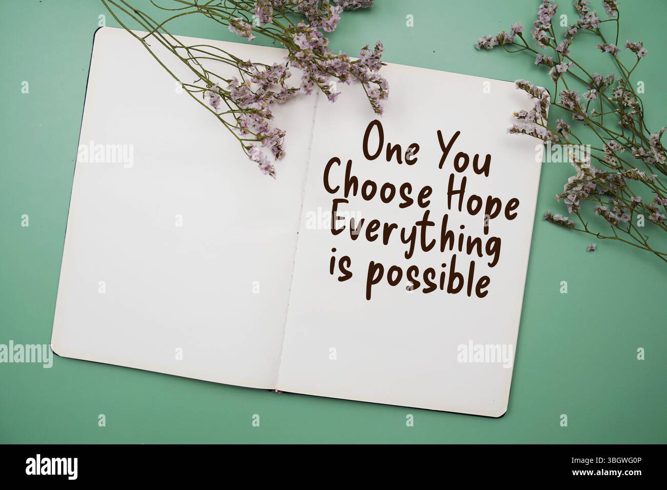 Inspirational quotes of "One You Choose Hope Everything is possible ...