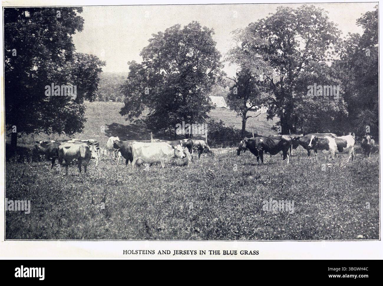 Maple Villa Stock Farm, a 300-acre estate in Delaware County, Ohio, was ...