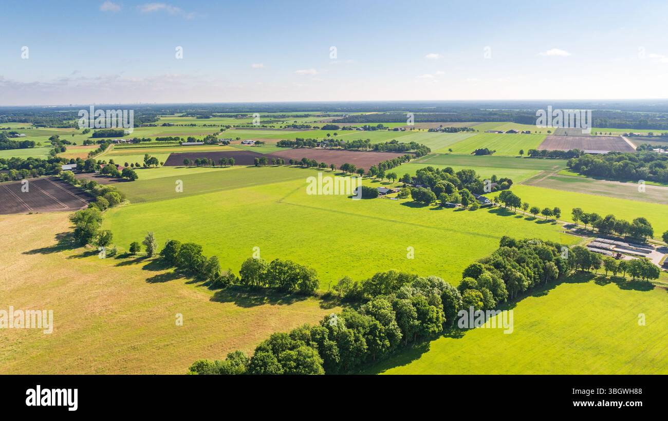 Aerial view of farmland and trees in Holland Stock Photo - Alamy