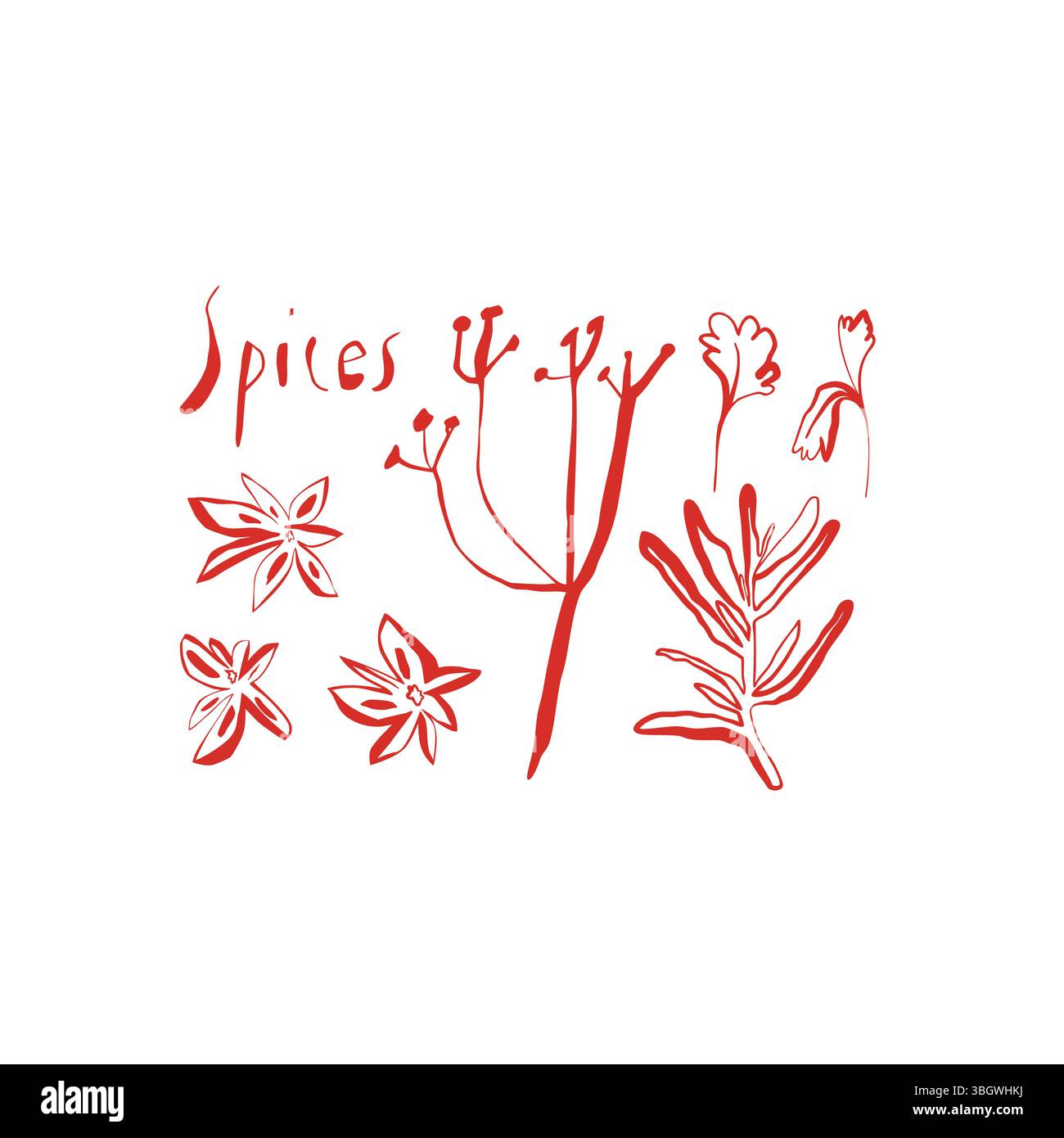 Artistic composition culinary spices Stock Vector Images - Alamy